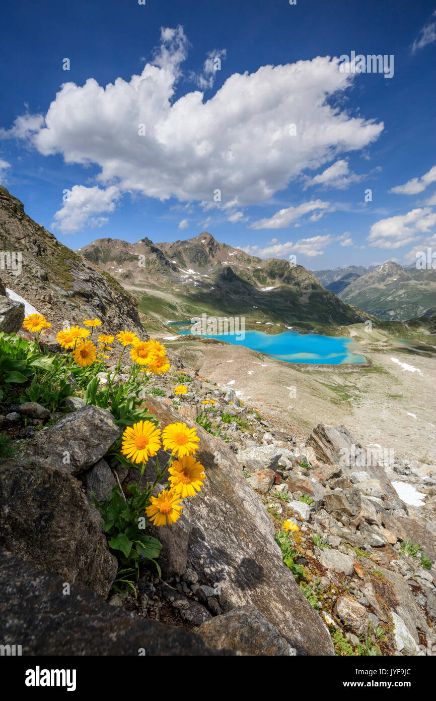 Turquoise lake framed by yellow flowers and rocky peaks Joriseen ...