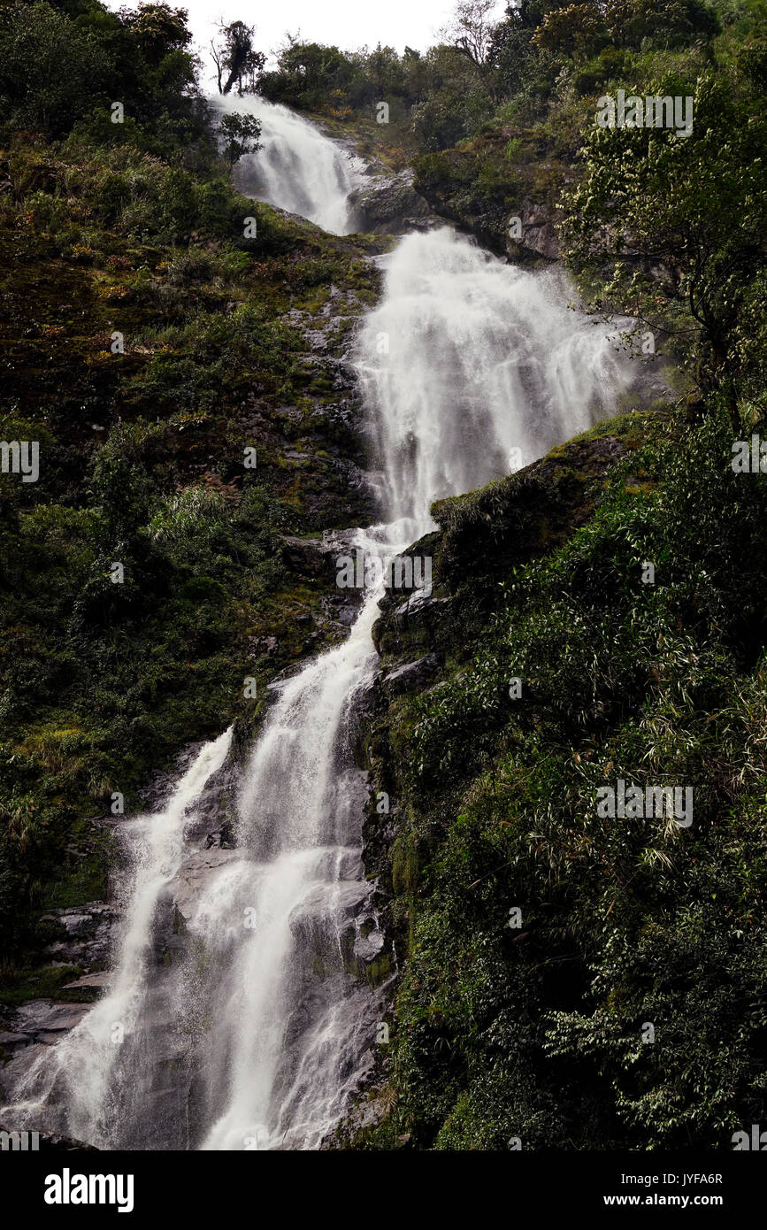 Black forest water fall hi-res stock photography and images - Alamy