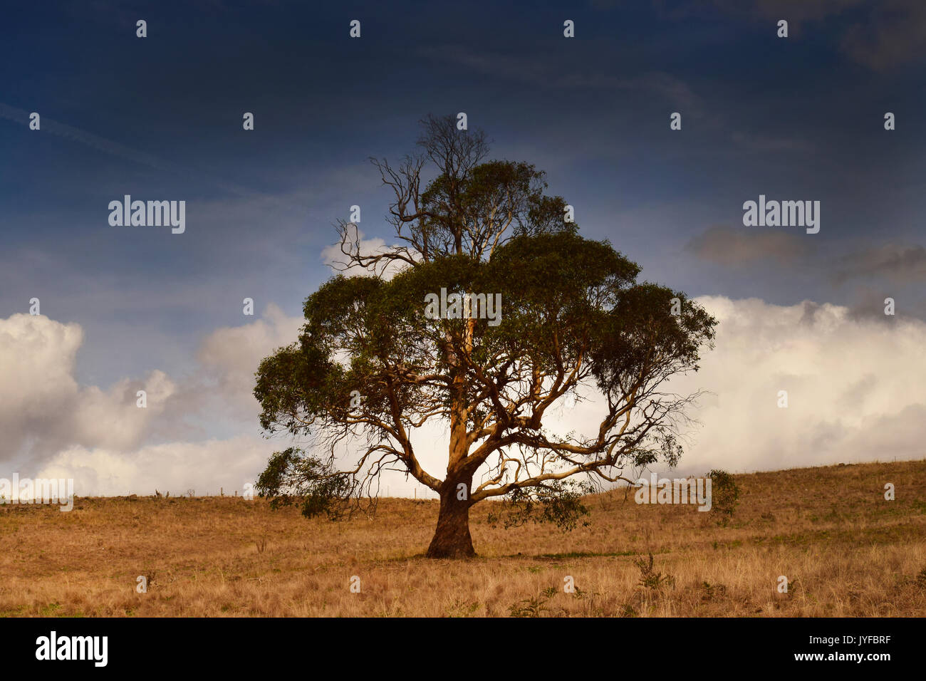 Single clouds hi-res stock photography and images - Alamy