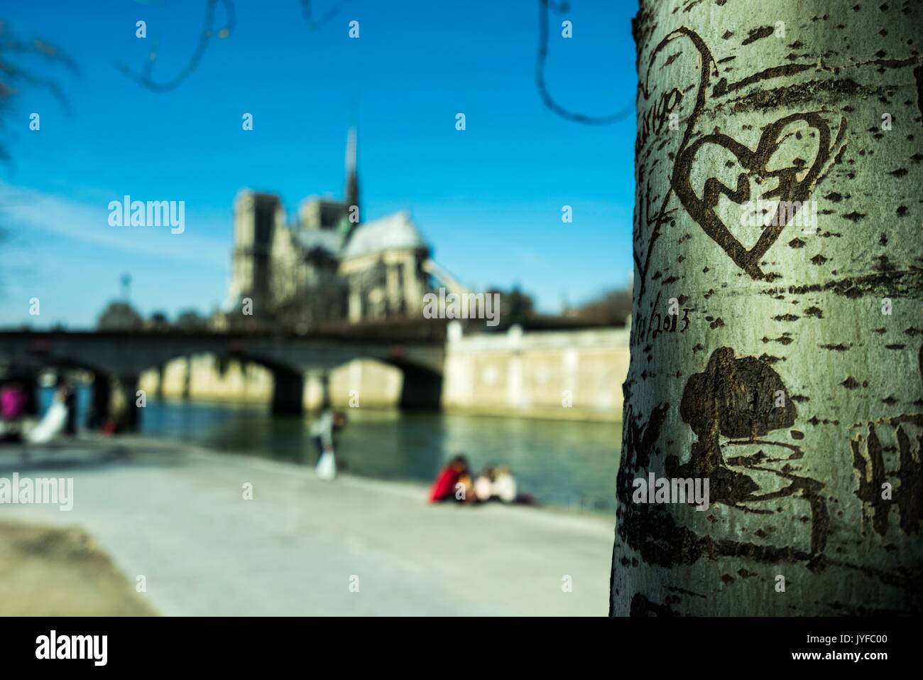 The writing of lovers on a tree trunk along the banks of the Seine ...