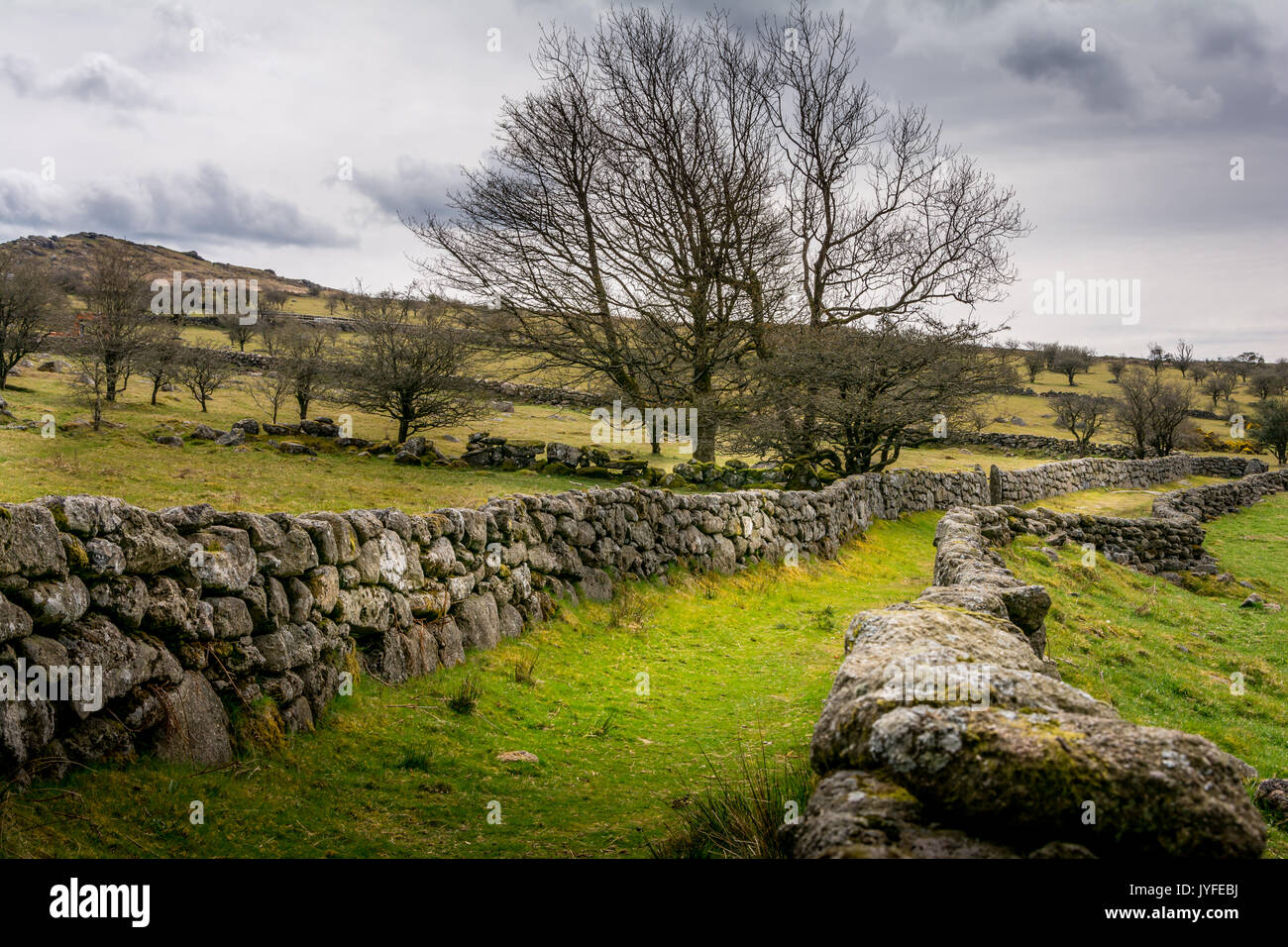 A stonewall path leads walkers away from Emsworthy Farm in Dartmoor ...