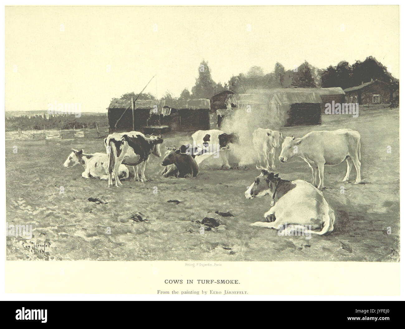 MECHELIN(1894) p193 Cows in Turf Smoke Stock Photo - Alamy