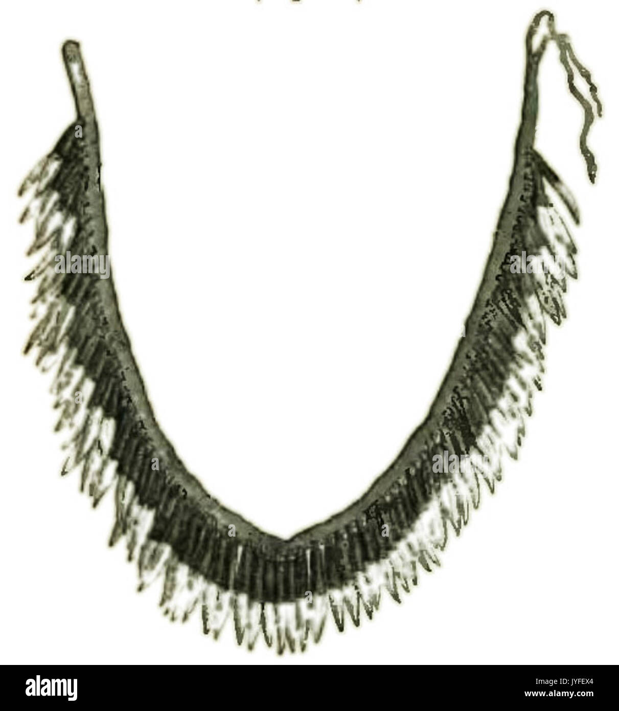 Social history lifestyles Cut Out Stock Images & Pictures - Alamy