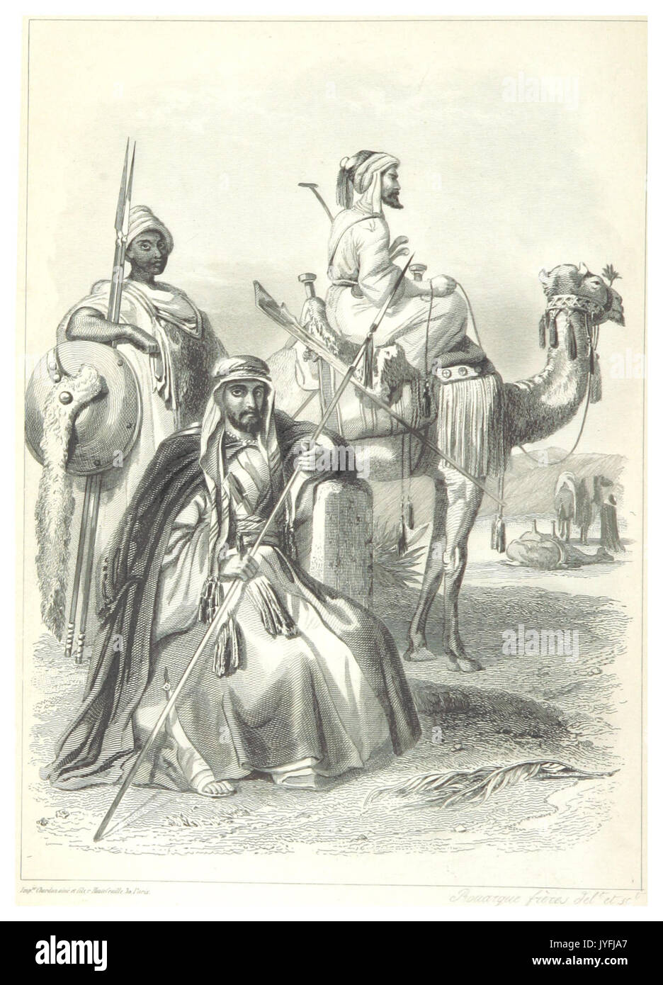 Abyssinians hi-res stock photography and images - Alamy