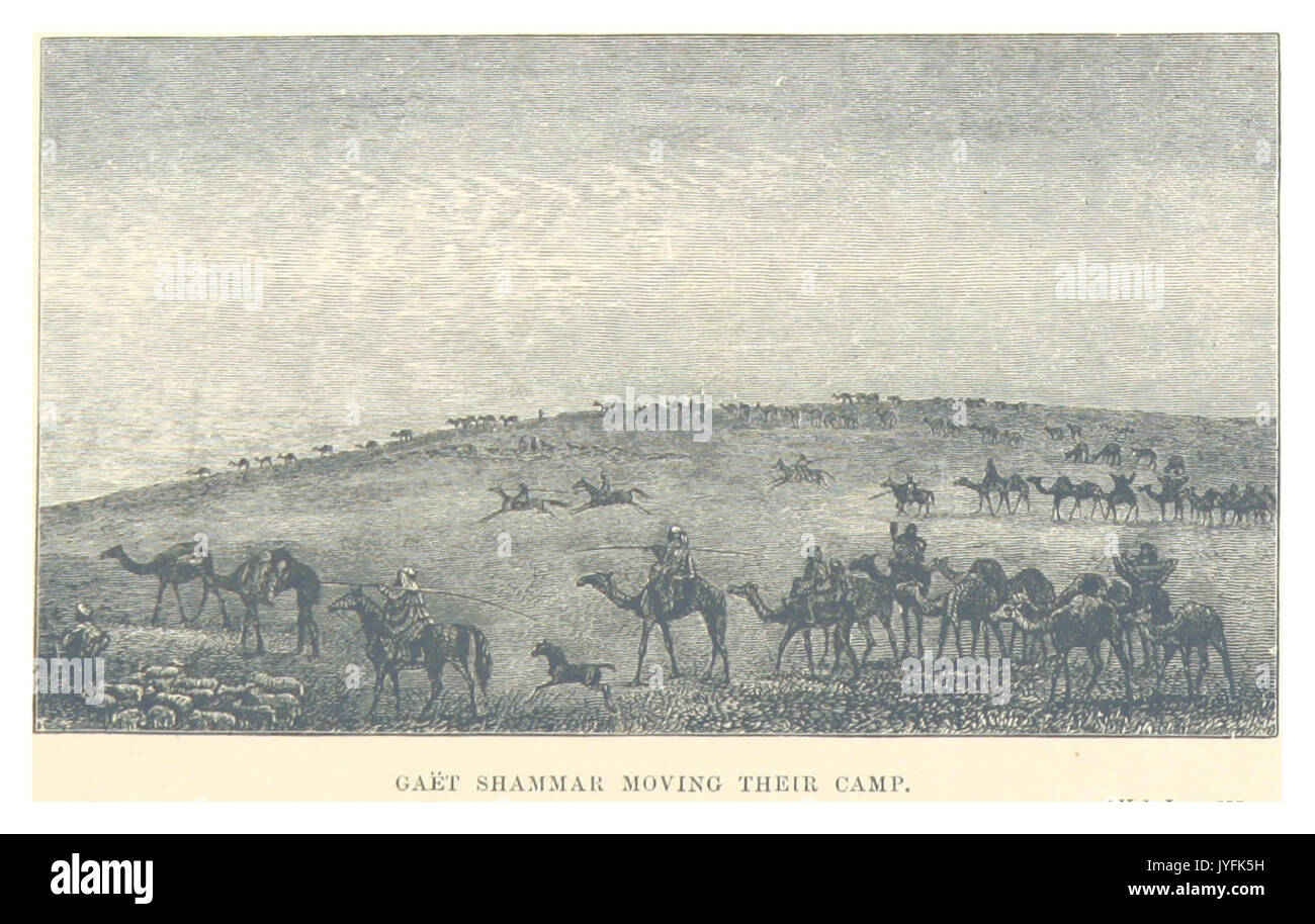 Shammar hi-res stock photography and images - Alamy