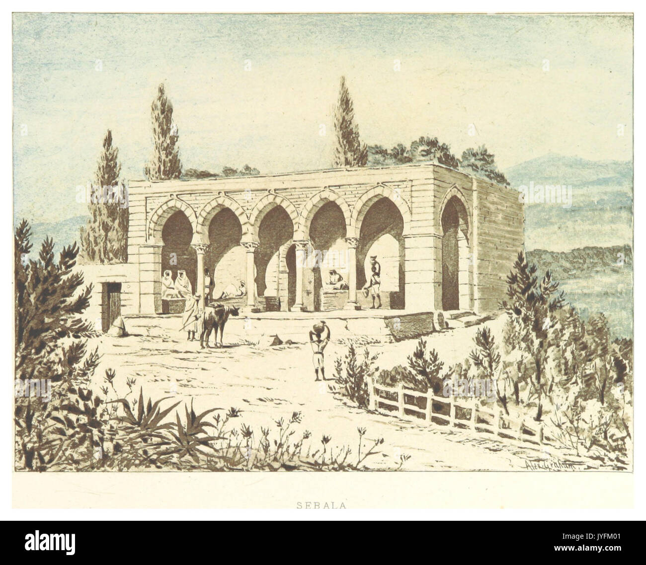 Sebala hi-res stock photography and images - Alamy