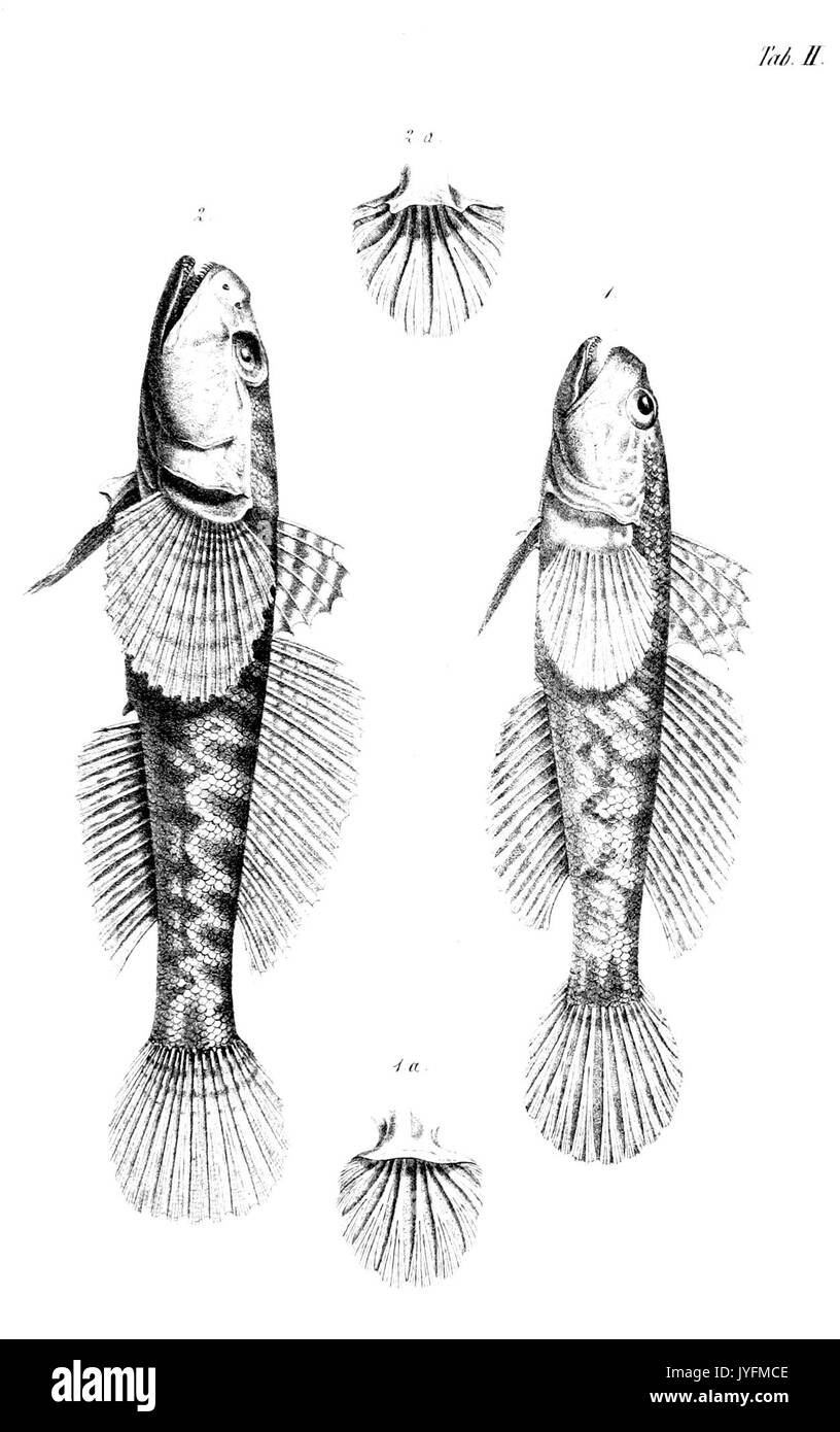 Industrial revolution engraving design Cut Out Stock Images & Pictures ...