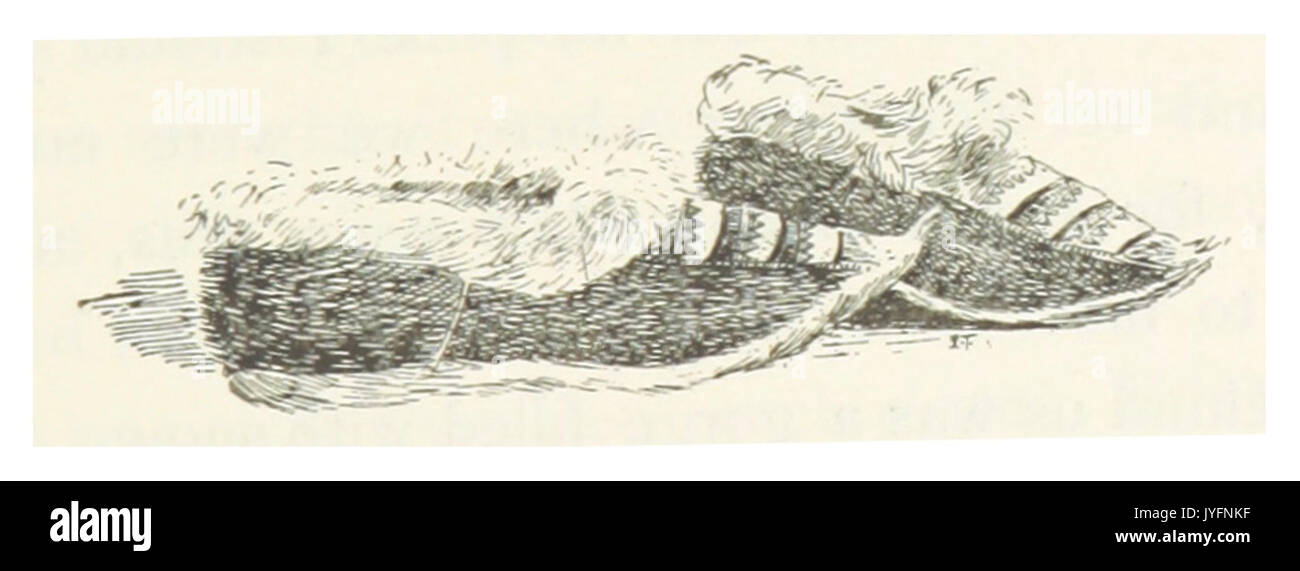 Shoes history Cut Out Stock Images & Pictures - Alamy