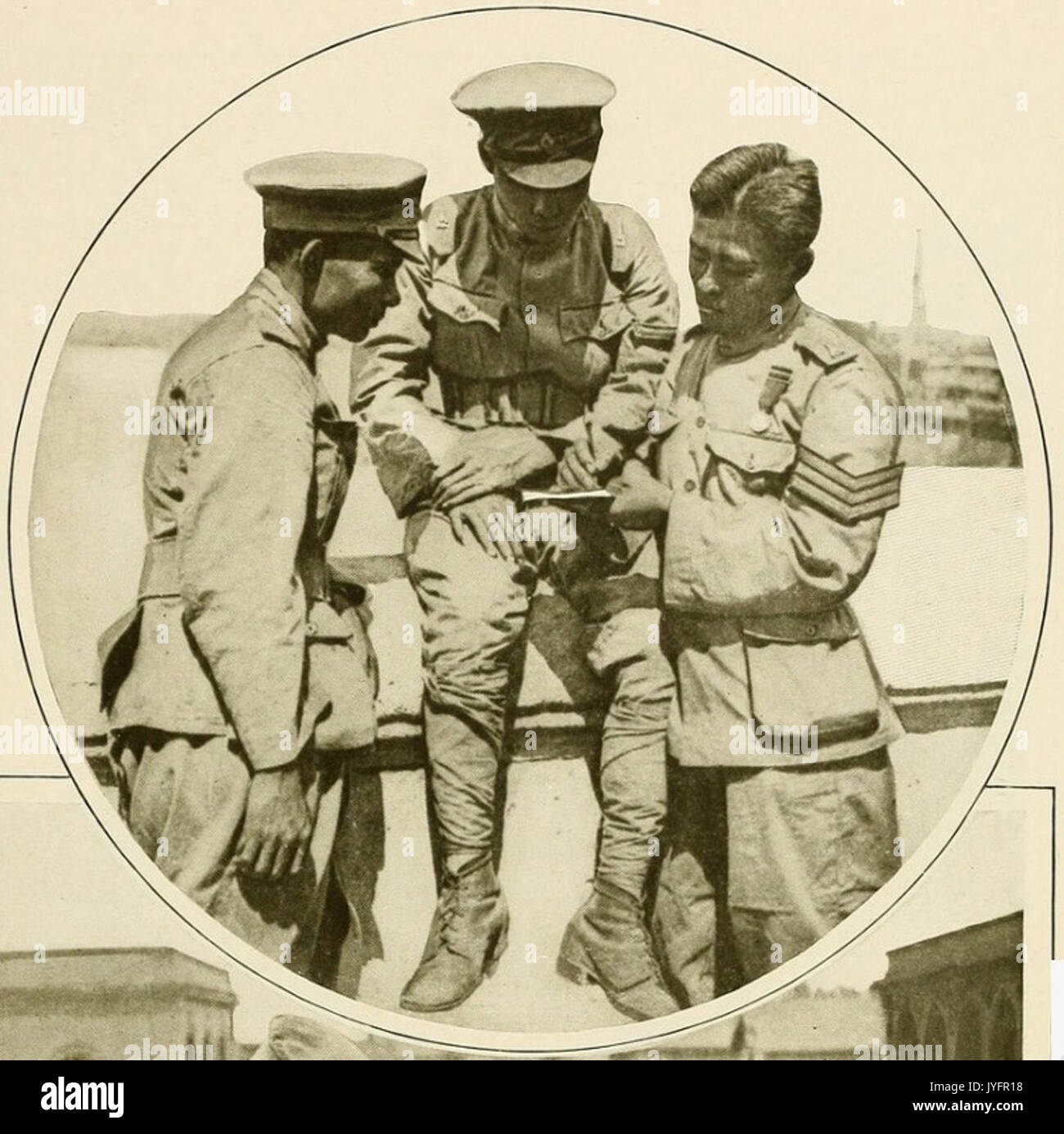 Siameses hi-res stock photography and images - Alamy