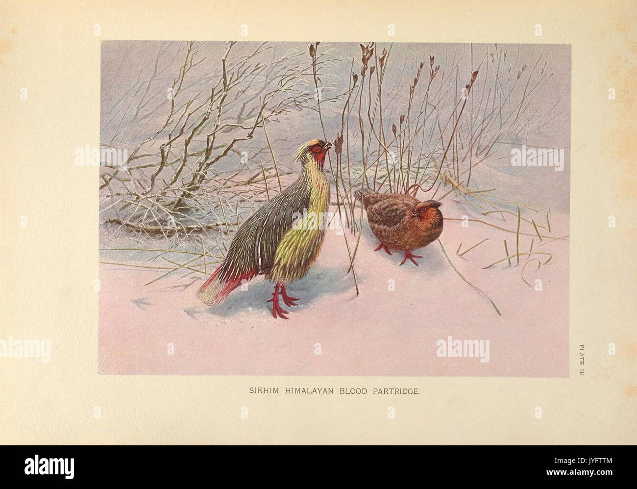 Scientific monograph reference hi-res stock photography and images - Alamy