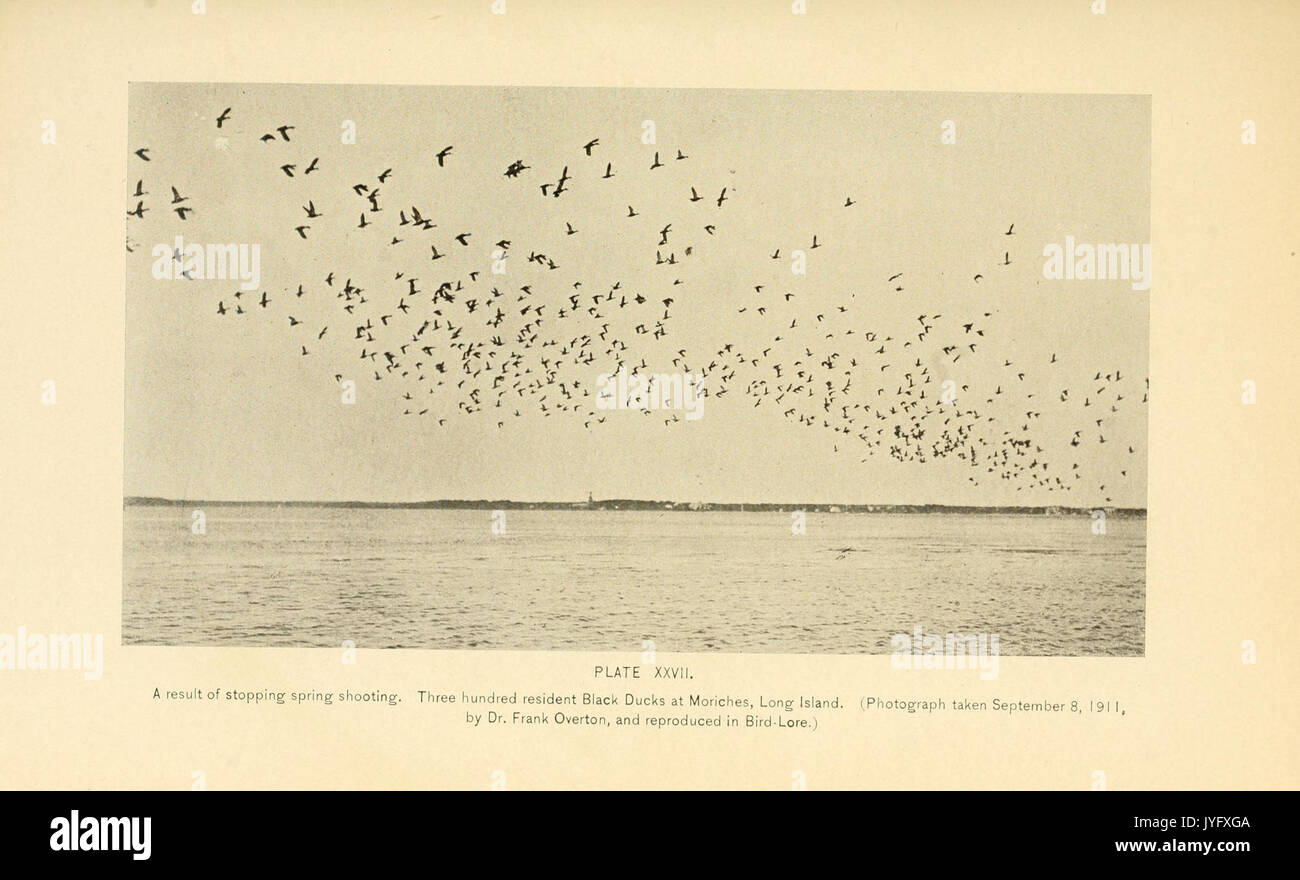 A history of the game birds, wild fowl and shore birds of Massachusetts ...