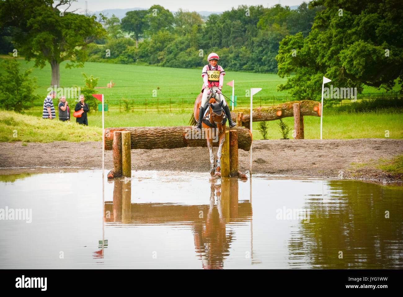 Chestnut horse galloping cross country hi-res stock photography and ...