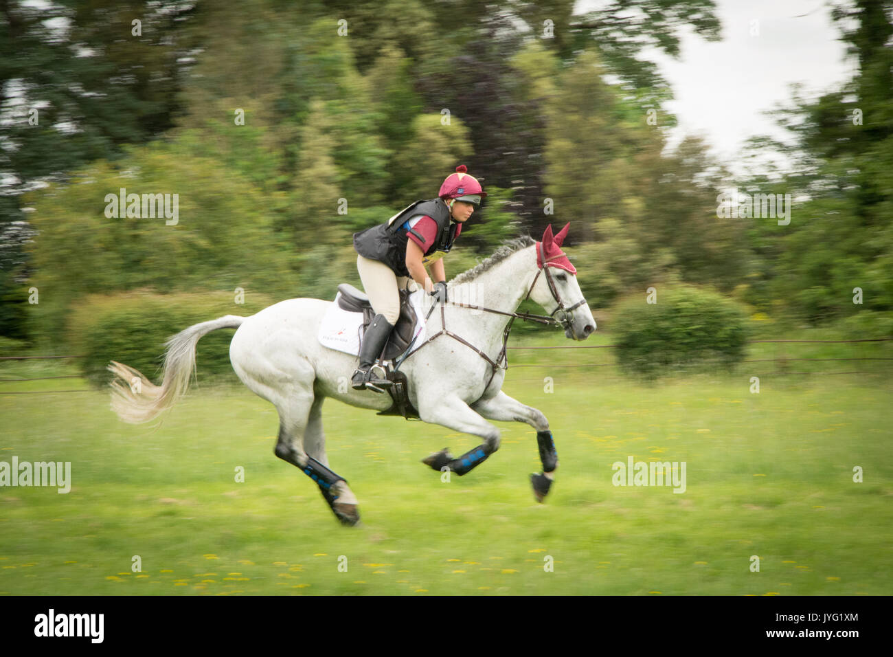 A rider gallops during a horse race in Somerset, UK Stock Photo - Alamy