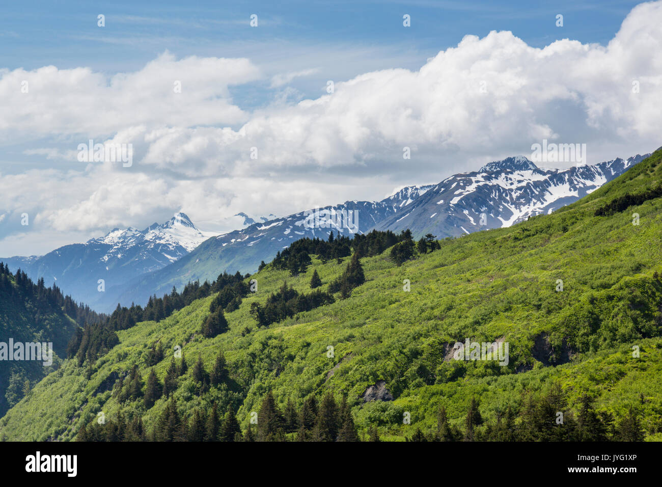 Lost Lake Trail, Chugach National Forest, Seward, Alaska, USA Stock ...