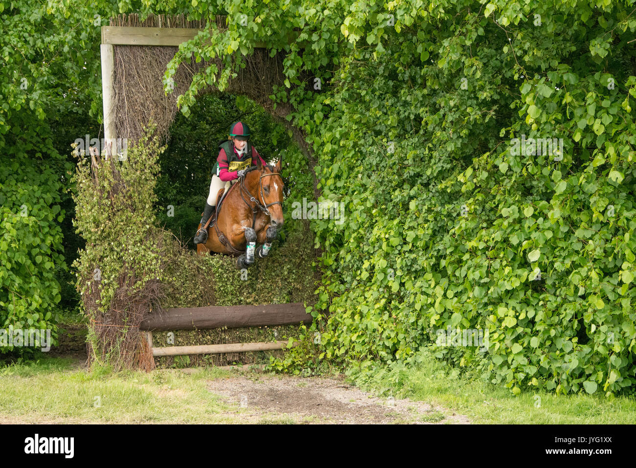 Horse competition gate jumping hi-res stock photography and images - Alamy