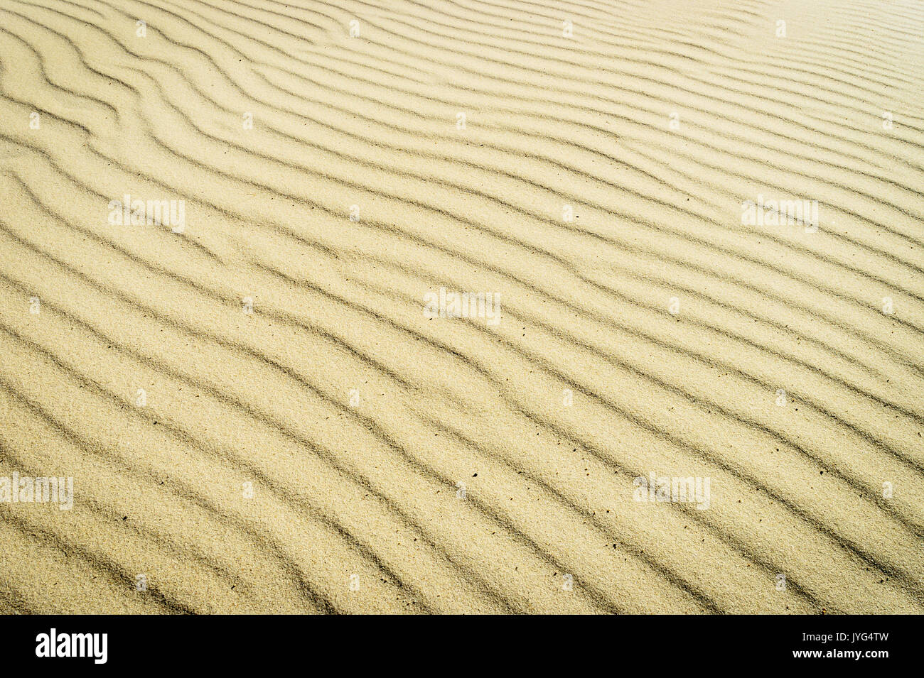 Harmonic pattern of rippled sand surface on beach. Climate change ...