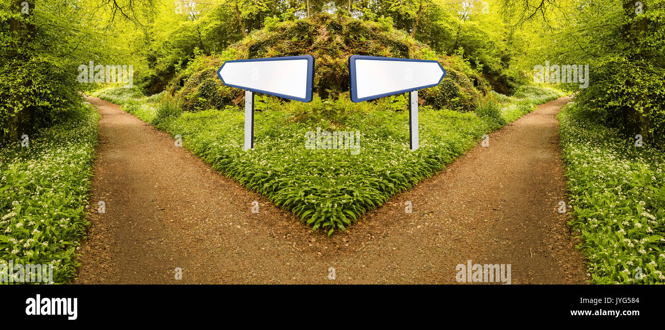 Concept illustrating making a choice Stock Photo - Alamy