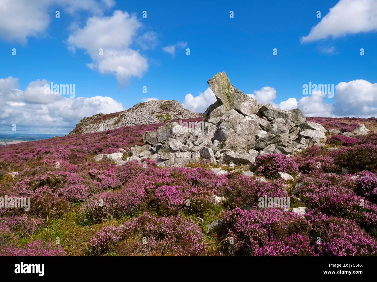 Diamond Rock and Saddle Rock on the Stiperstones, Shropshire, England ...