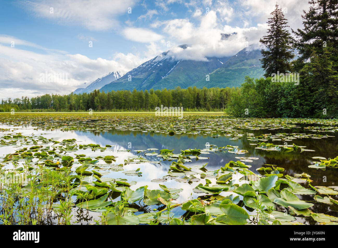Chugach National Forest, River, Pond, Seward, Kenai Peninsula, Alaska ...