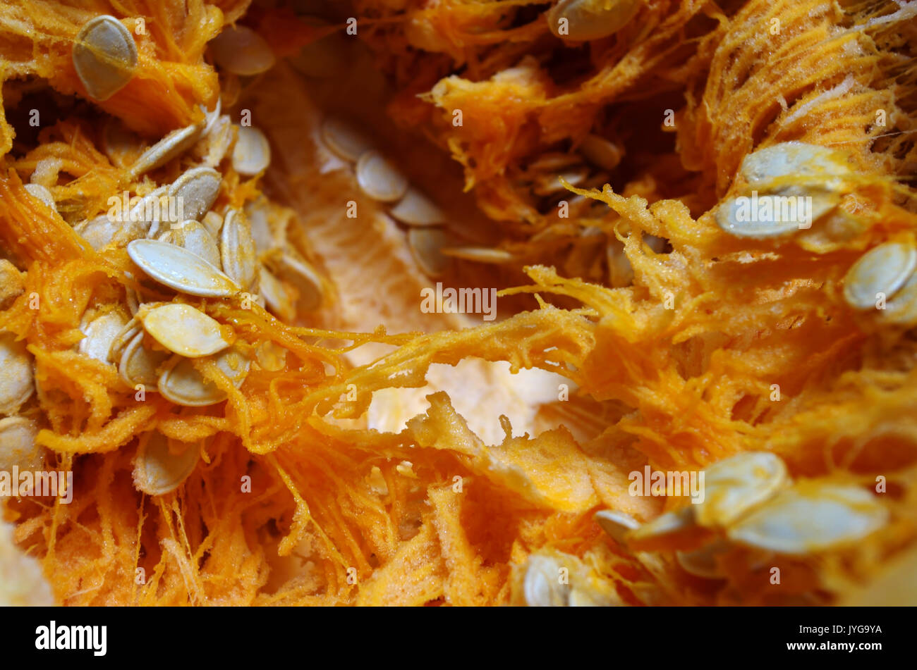 What S Inside Pumpkin at Rita Skelley blog