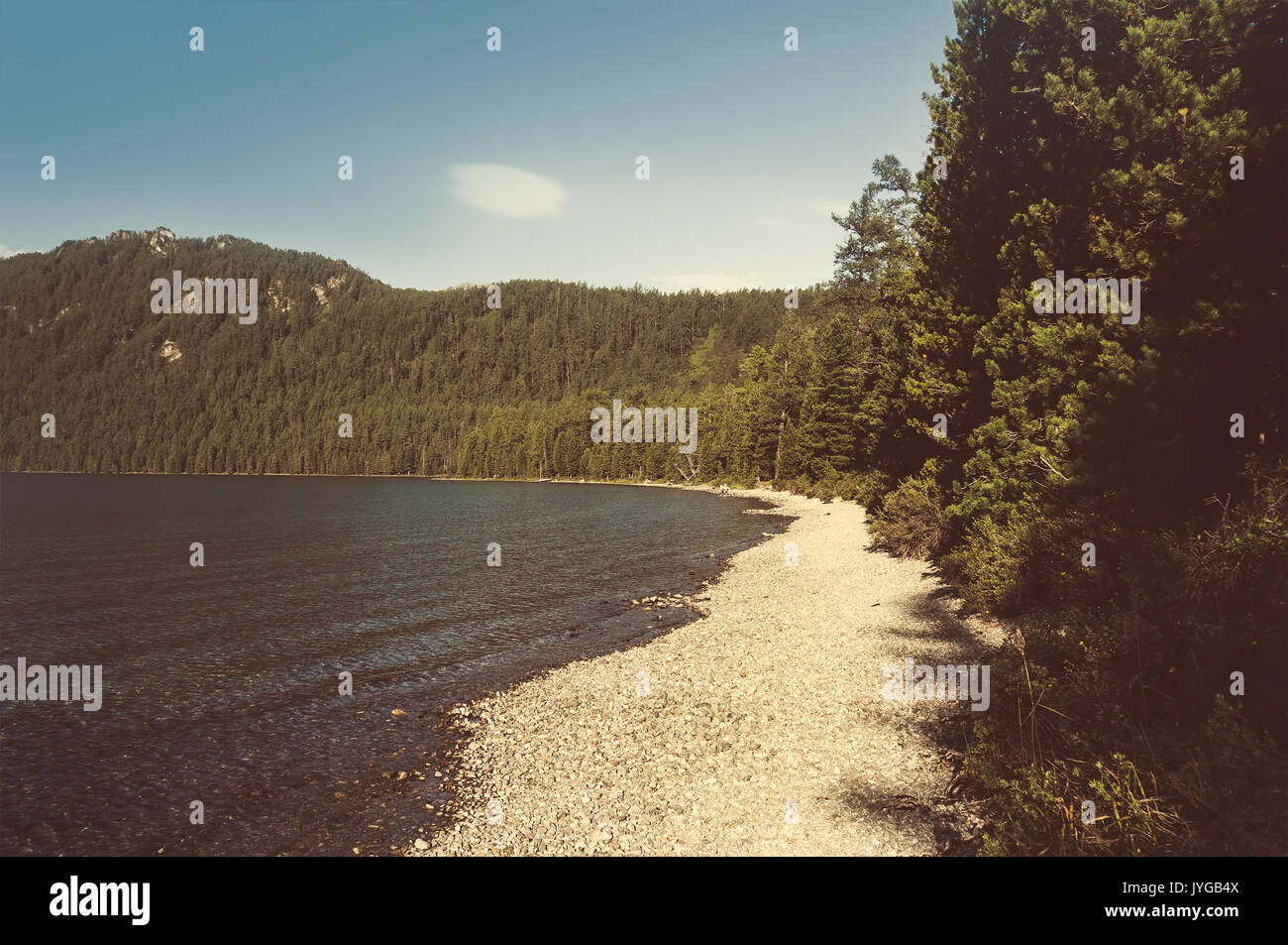 North shore forest hi-res stock photography and images - Alamy