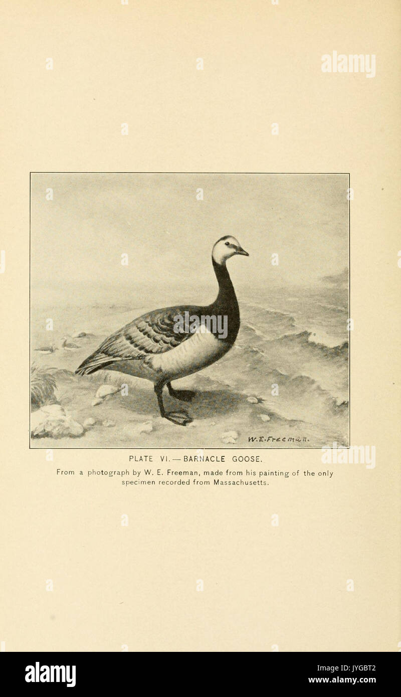 A history of the game birds, wild fowl and shore birds of Massachusetts ...