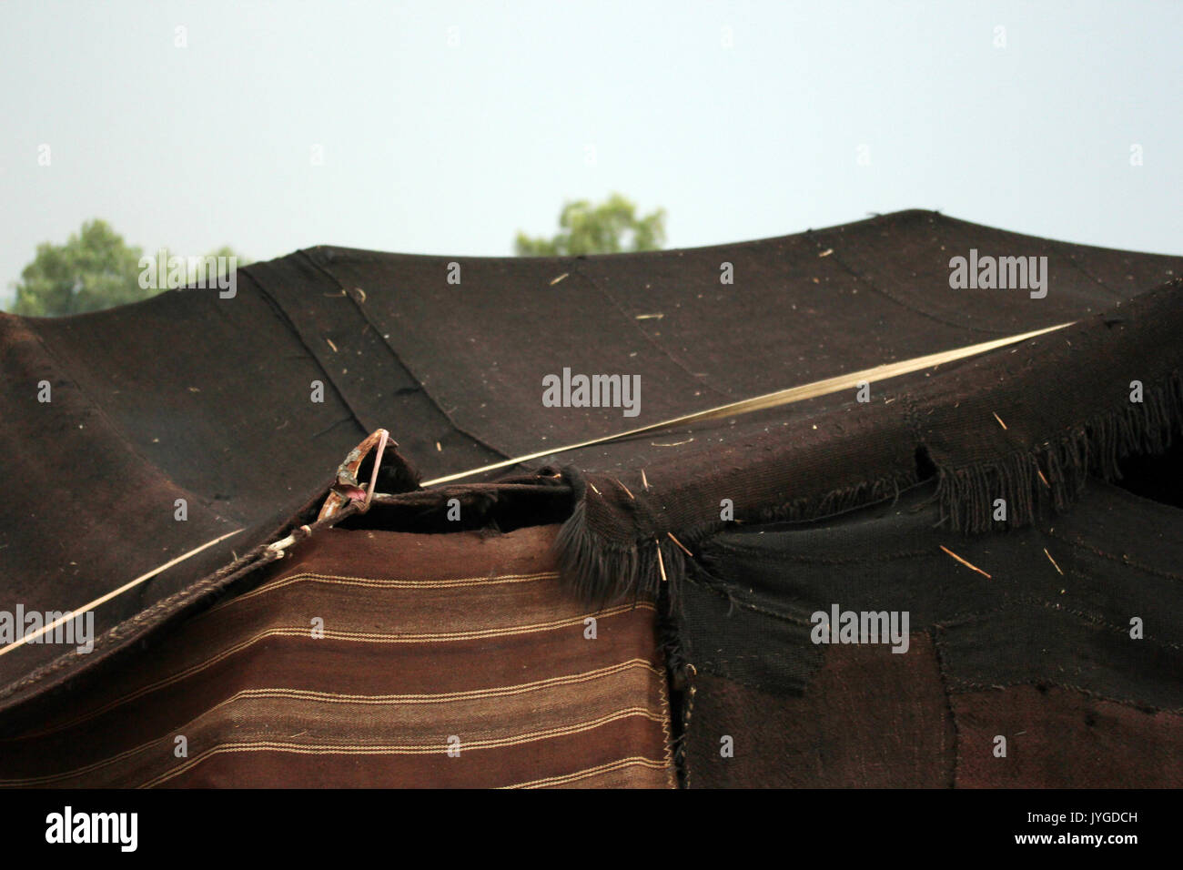 Animal skin tent desert hi-res stock photography and images - Alamy