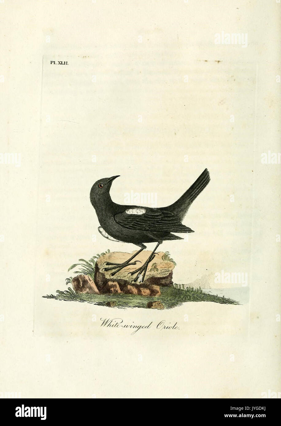 History xlii hi-res stock photography and images - Alamy