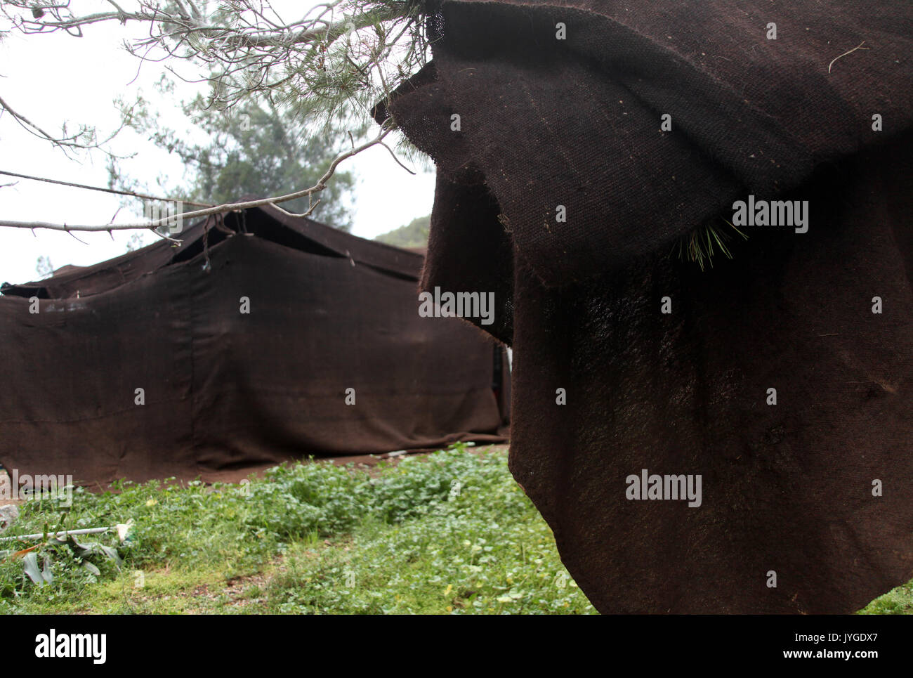 Nomad Tent (Natural life Stock Photo - Alamy