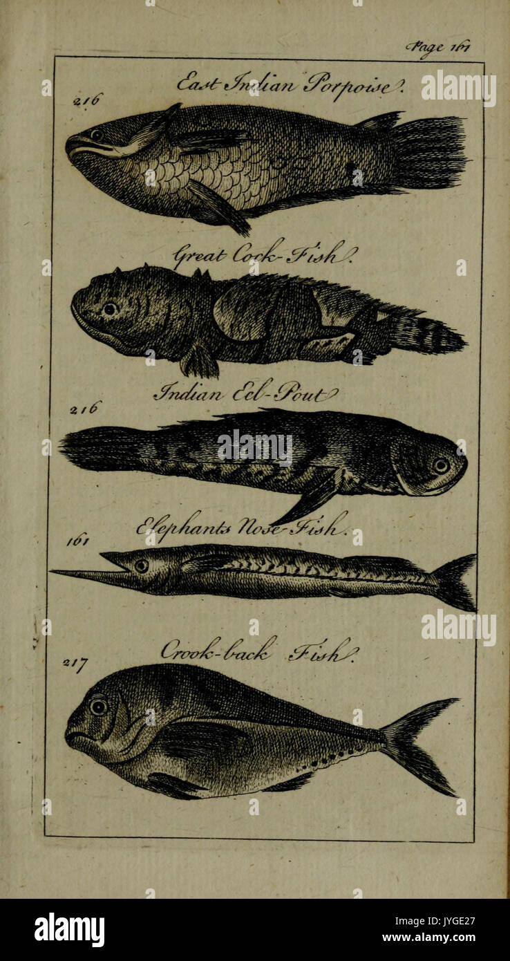 This illustration from a historical natural history book showcases ...