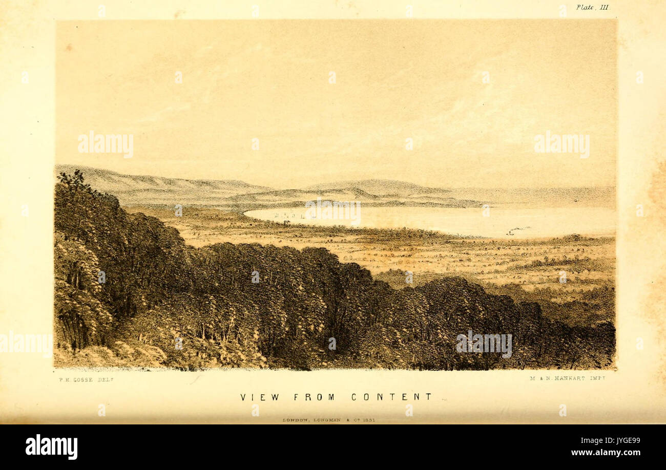 Jamaica this is a drawing it hi-res stock photography and images - Alamy