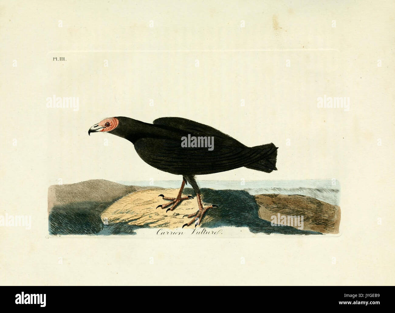 Pl a iii hi-res stock photography and images - Alamy