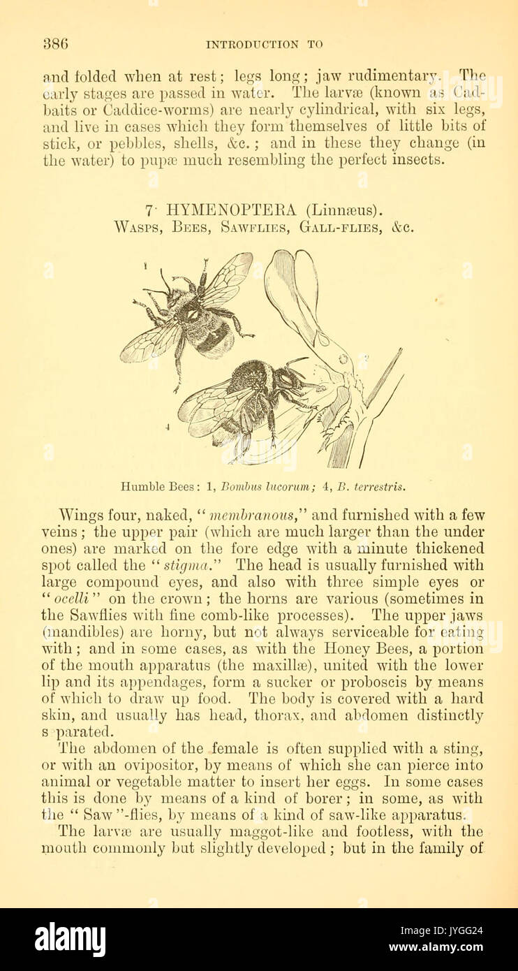 Manual fruit diseases fruit hi-res stock photography and images - Alamy