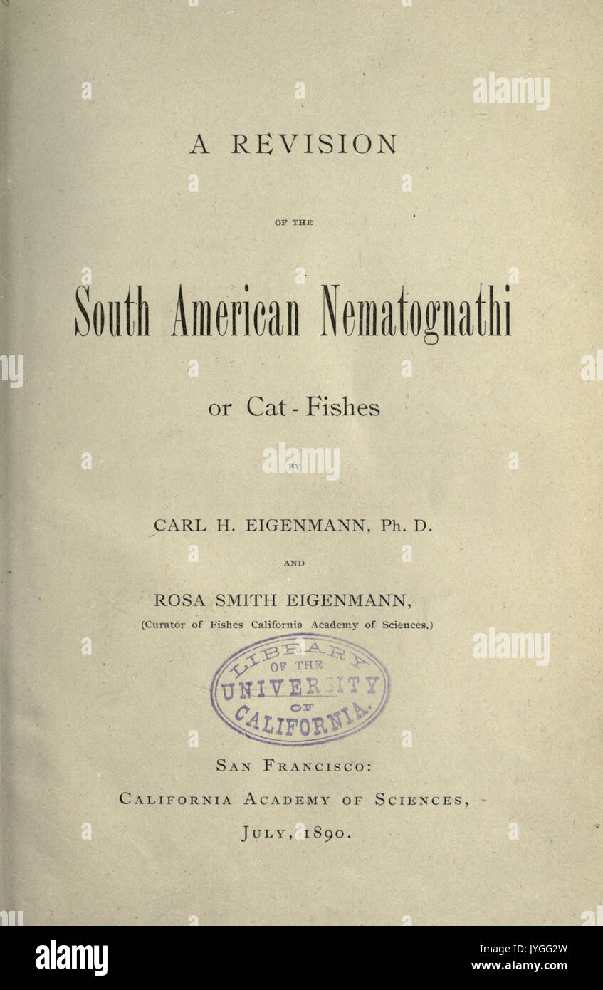 A revision of the South American Nematognathi or cat fishes BHL22783987 ...