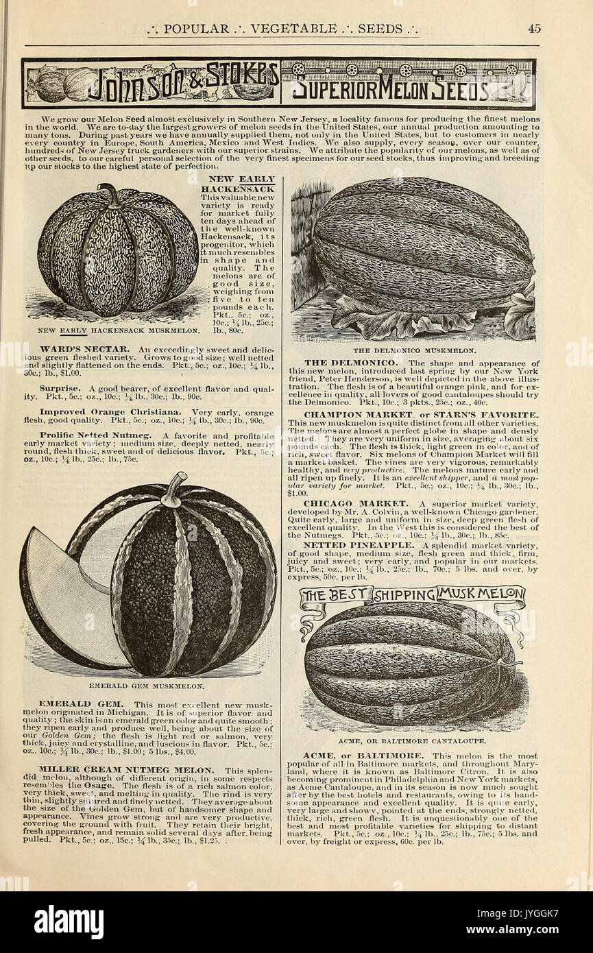 Garden tools 1800s hi-res stock photography and images - Alamy