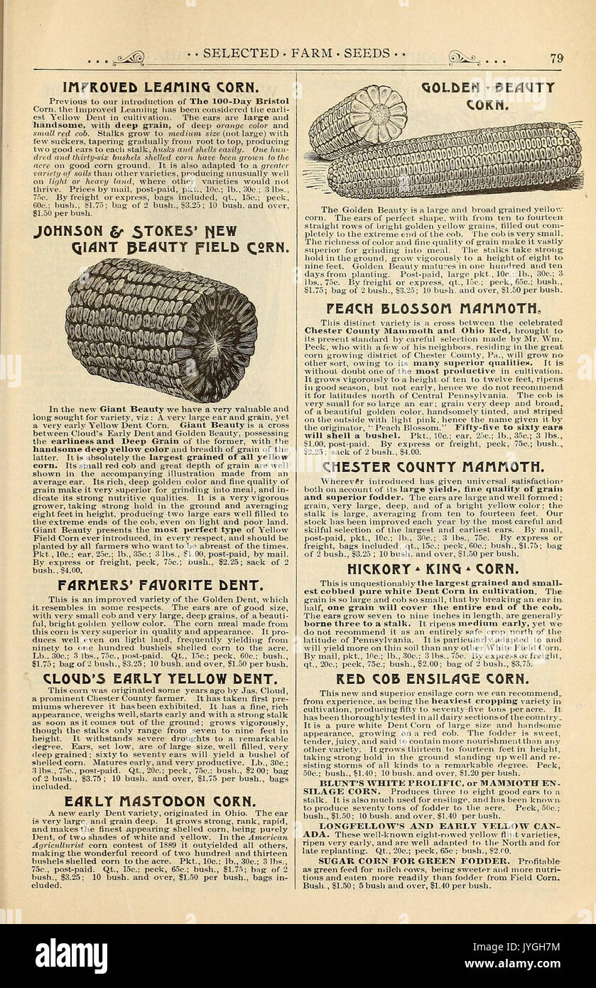 1894 garden and farm 1891 manual (Page 79) BHL42606121 Stock Photo - Alamy