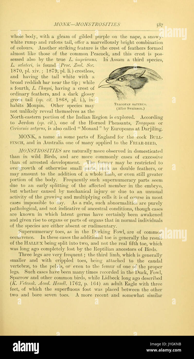 A dictionary of birds (Page 587) BHL8665054 Stock Photo - Alamy