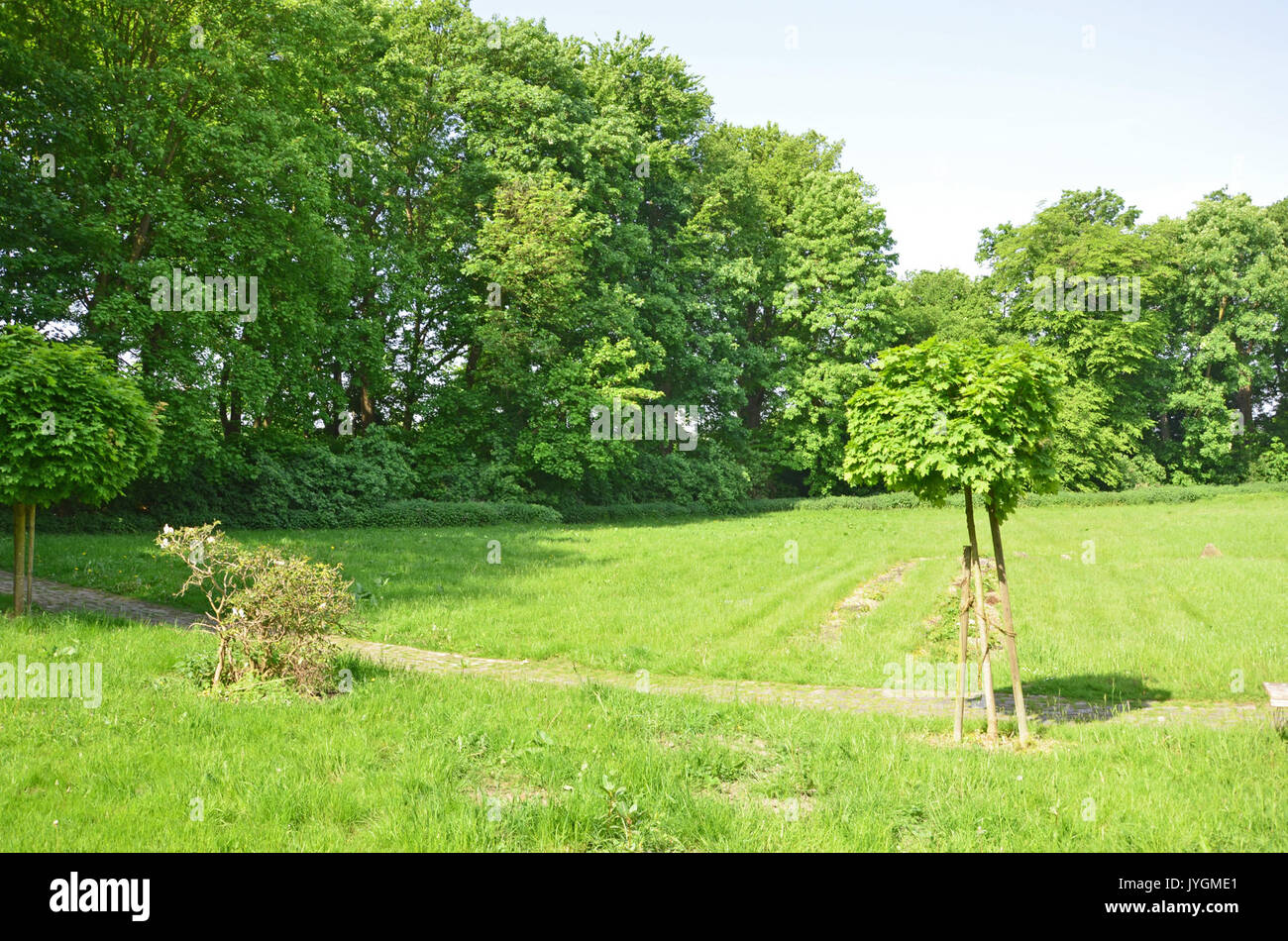 Baumbestand hi-res stock photography and images - Alamy