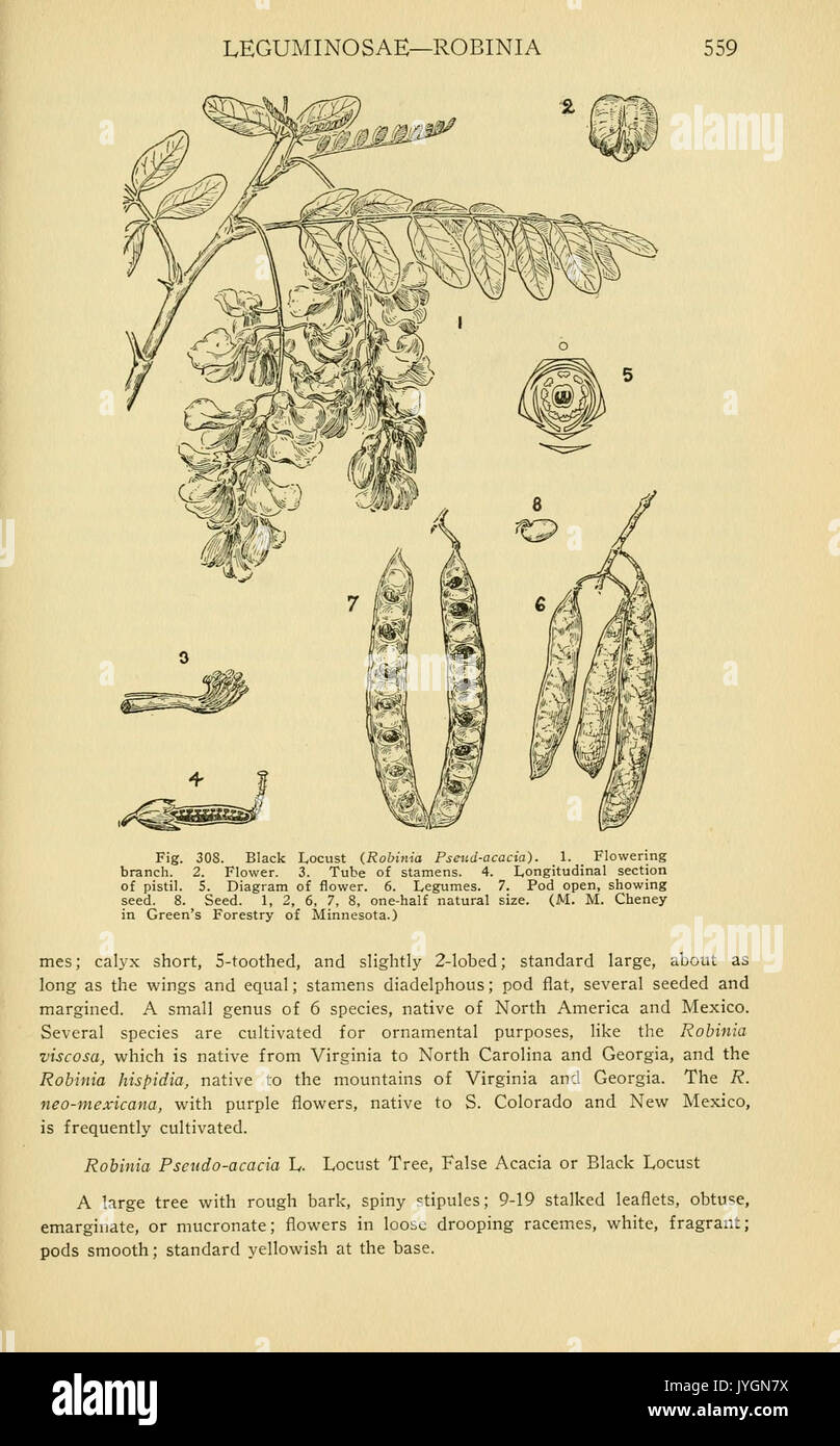 A botanical guide or manual focusing on poisonous plants, with detailed ...