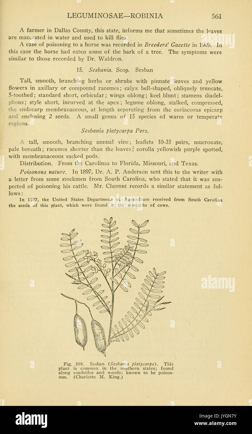 This page from a botanical manual identifies poisonous plants ...