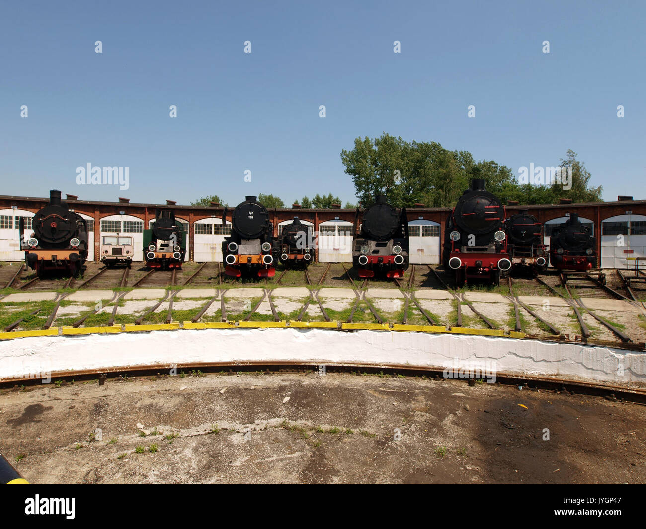 8 locs together Stock Photo - Alamy