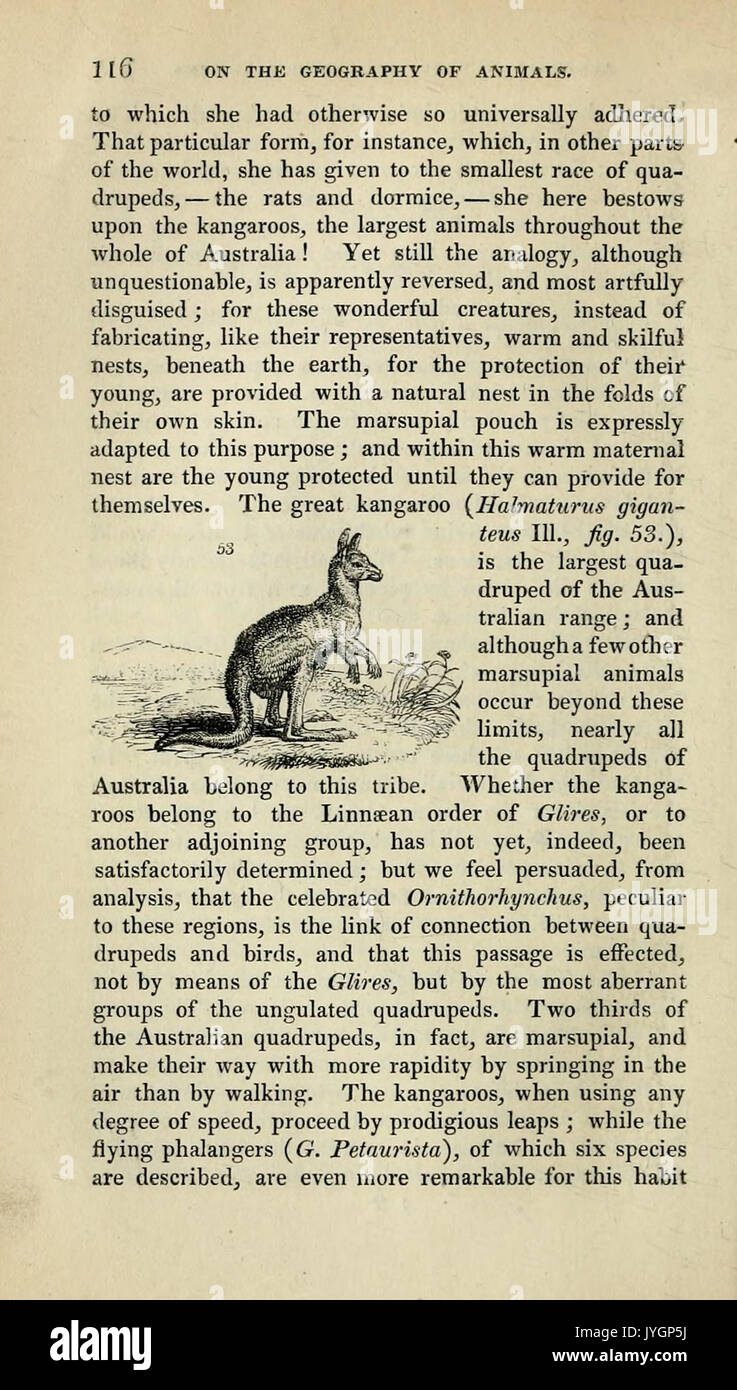 Animal geography hi-res stock photography and images - Alamy