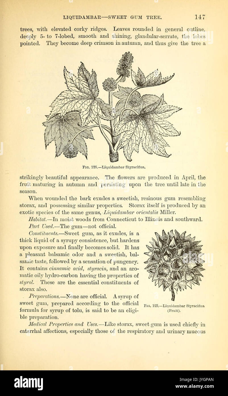 Medical medicinal plants taxonomy hi-res stock photography and images ...