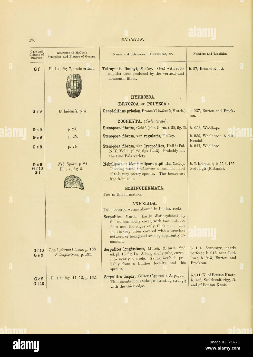 A catalogue of the collection of Cambrian and Silurian fossils ...
