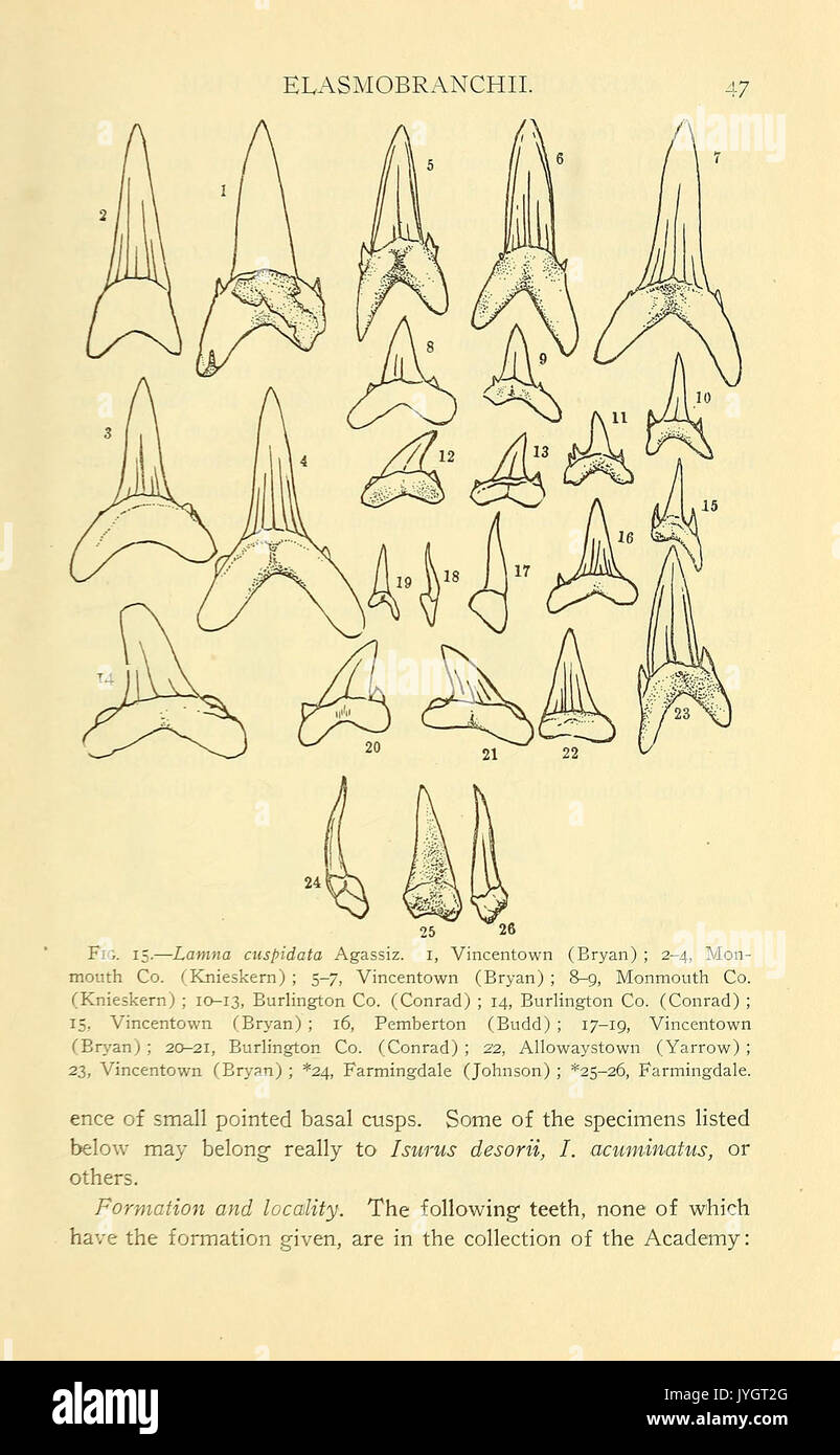 A description of the fossil fish remains of the Cretaceous, Eocene and ...