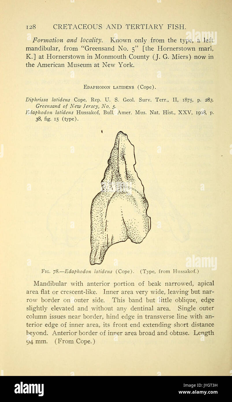 A description of the fossil fish remains of the Cretaceous, Eocene and ...