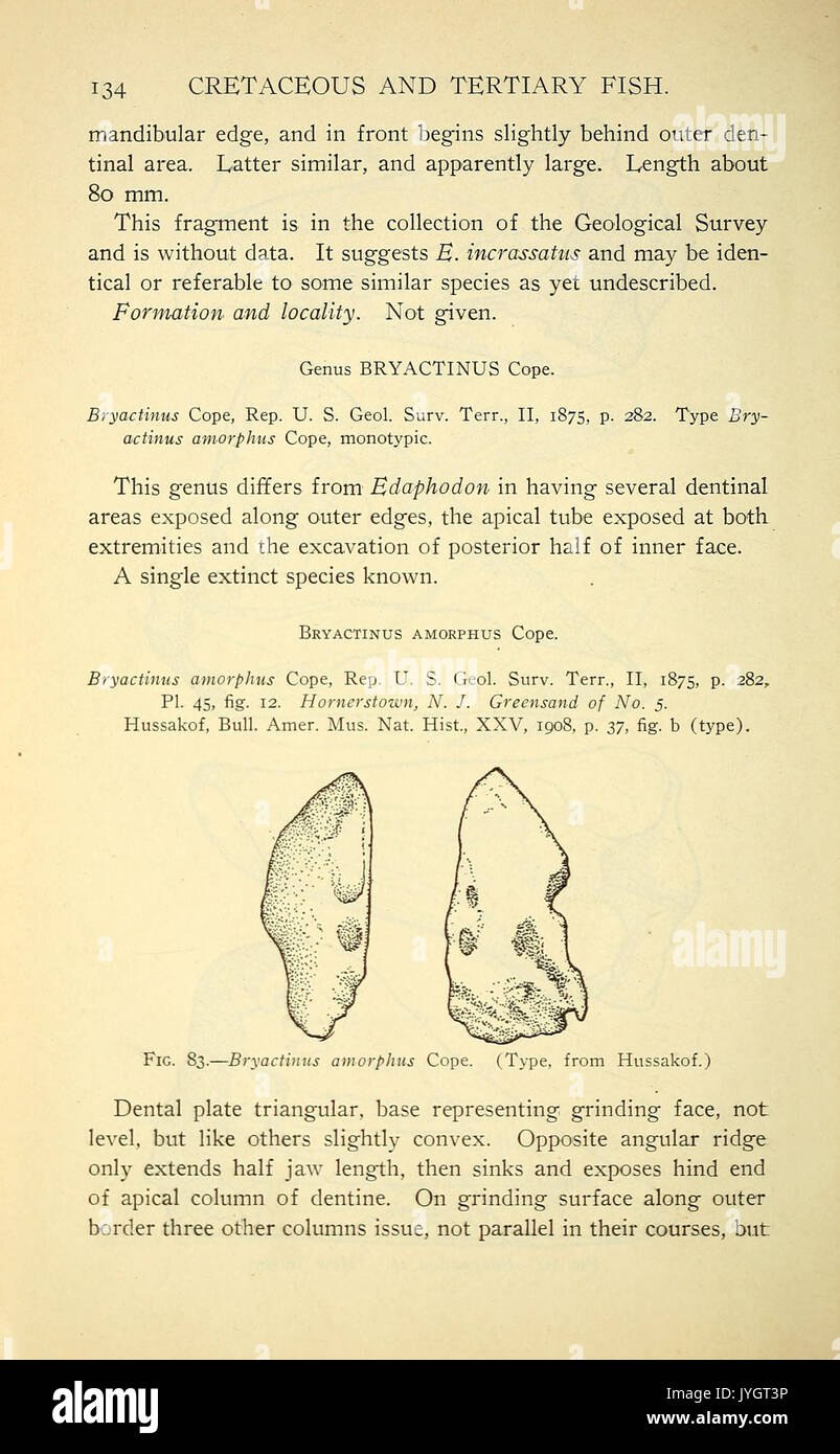 A description of the fossil fish remains of the Cretaceous, Eocene and ...