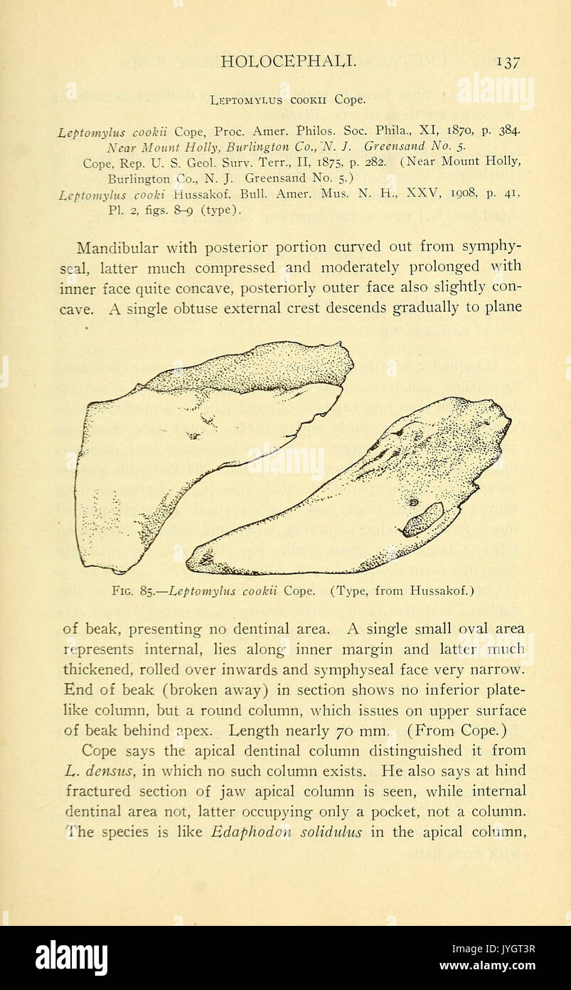 A description of the fossil fish remains of the Cretaceous, Eocene and ...