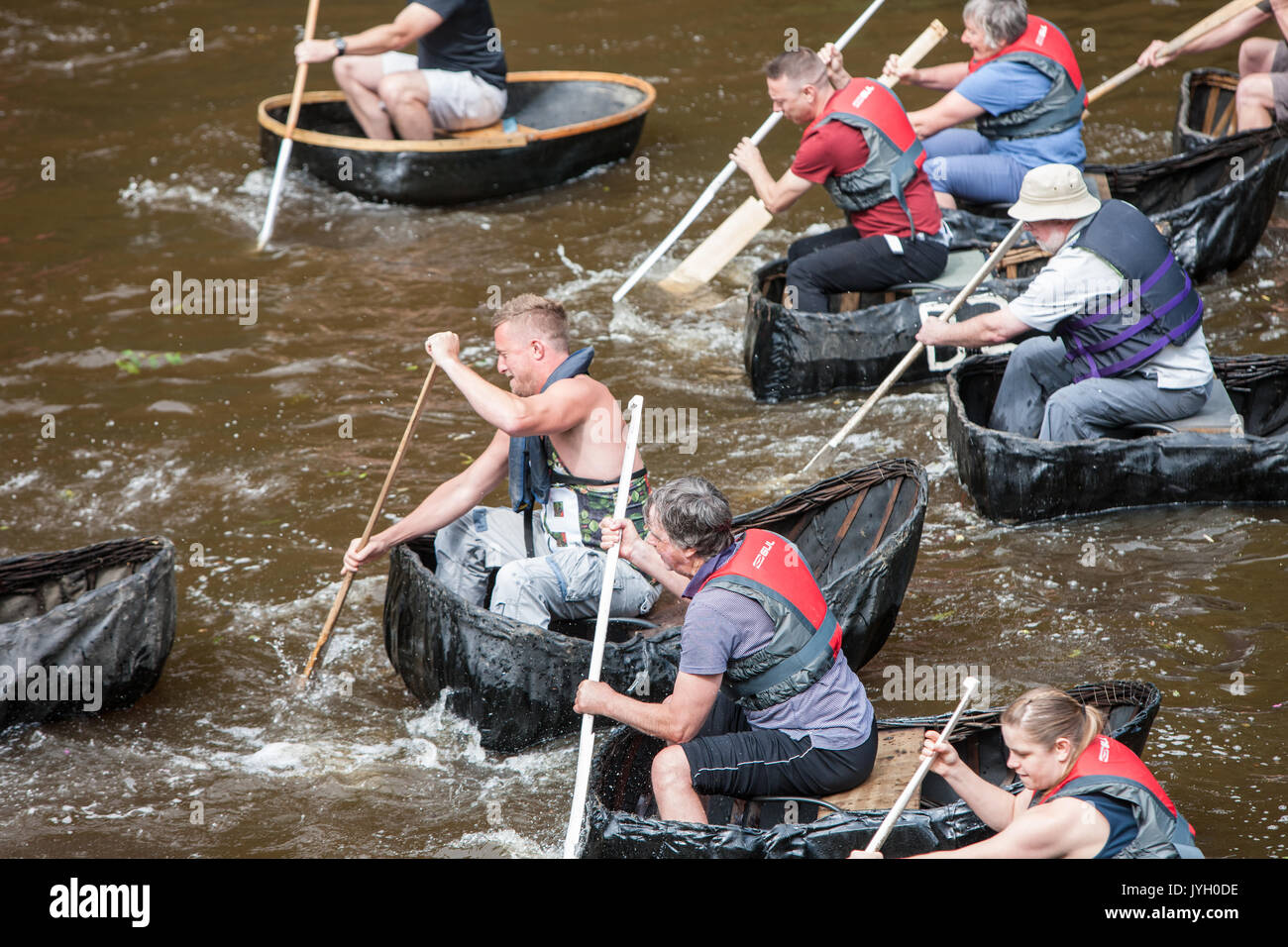 Coracle racing hi-res stock photography and images - Alamy