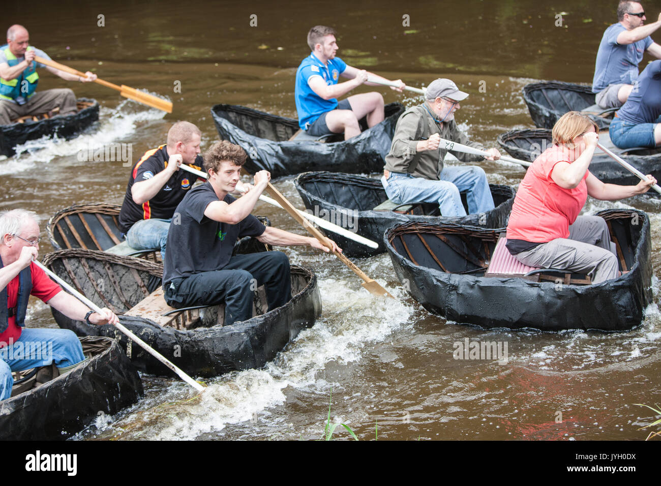 North Pembrokeshire, Wales, UK. 19th Aug, 2017. Coracle racing on River ...